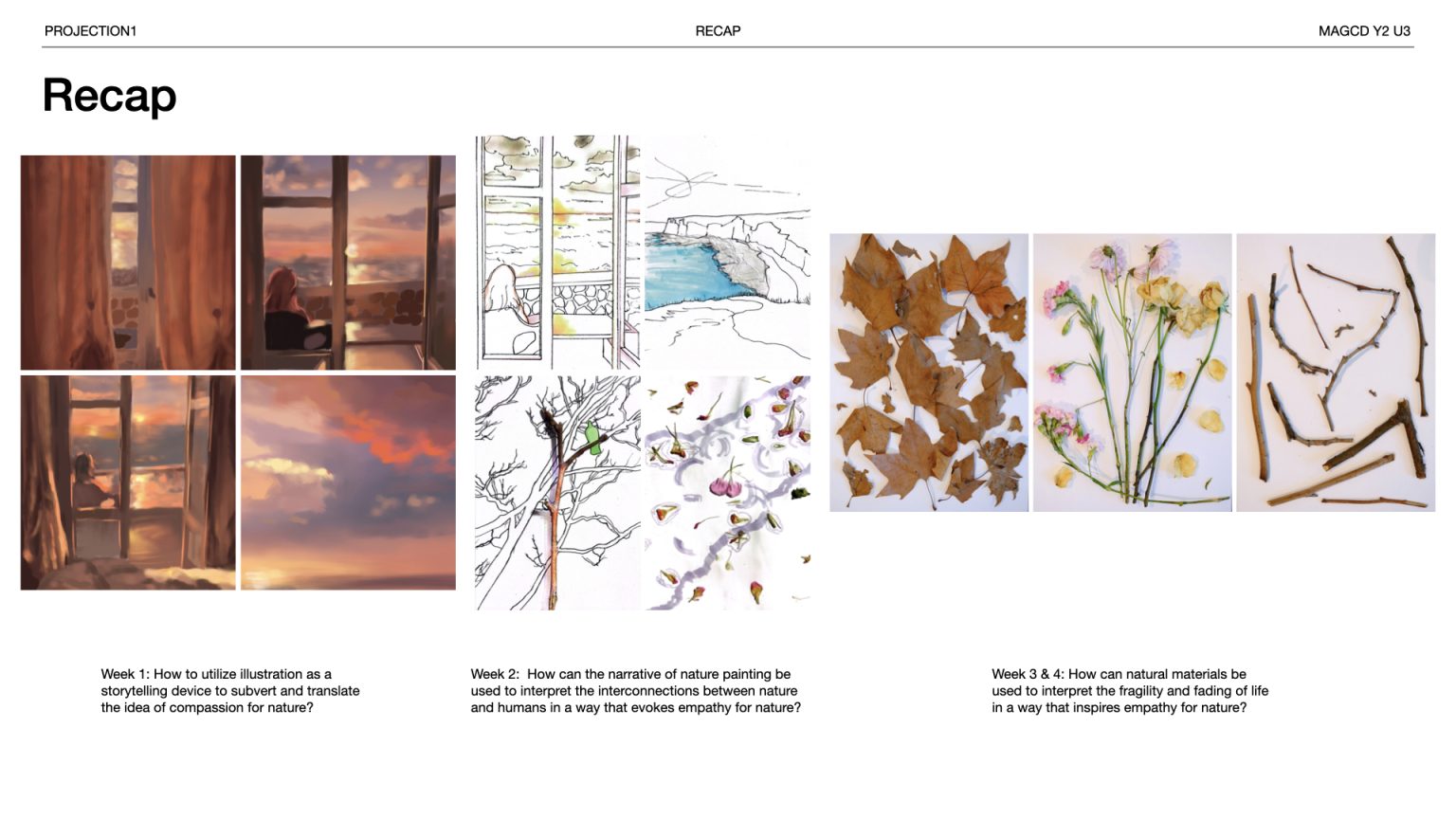 Unit 3: Projection 1 – Week 6 – IVY HONG